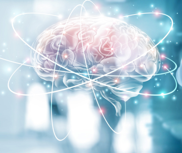 The Blood Brain Barrier (BBB) - EUBRAIN